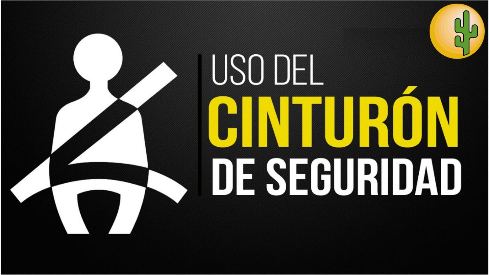 Importancia del uso del cinturón de seguridad y su uso correcto ...